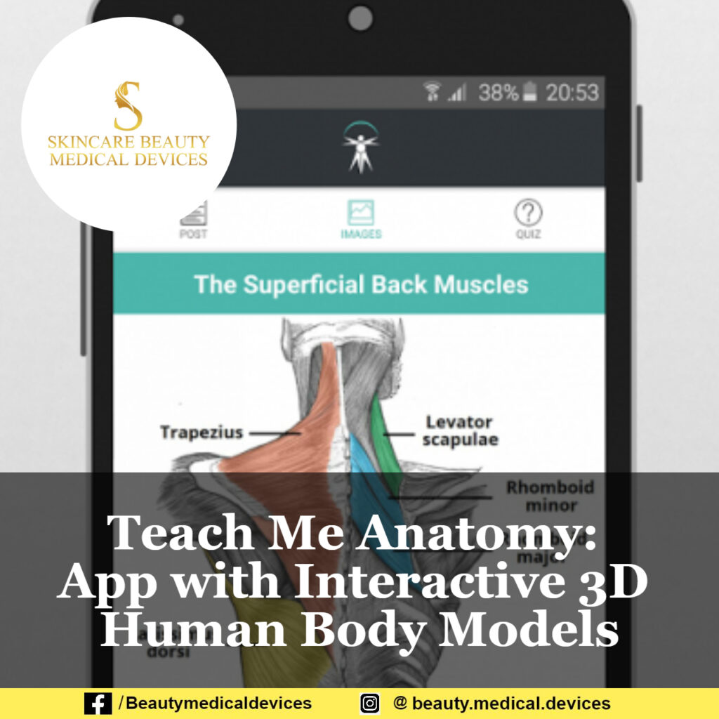 Teach Me Anatomy: App with Interactive 3D Human Body Models