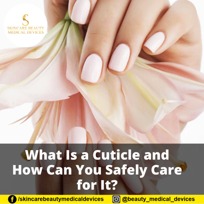 What Is a Cuticle and How Can You Safely Care of It